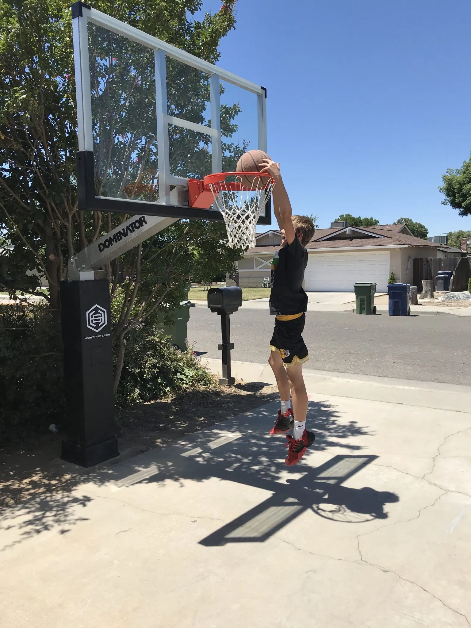 Dominator Basketball Hoop - DominatorHoop