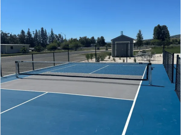 Surface Mount Pickleball Posts & Net Systems - DominatorHoop