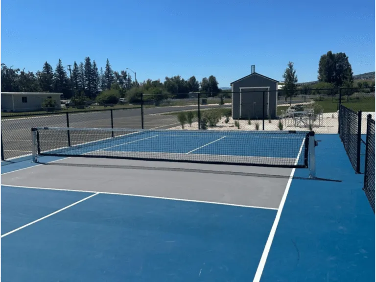 Surface Mount Pickleball Posts & Net Systems - DominatorHoop